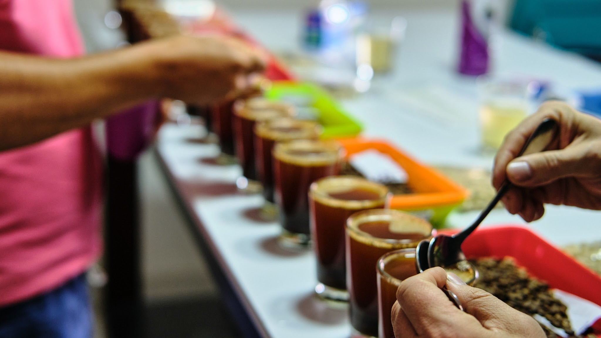 Lulo Coffee Roasters