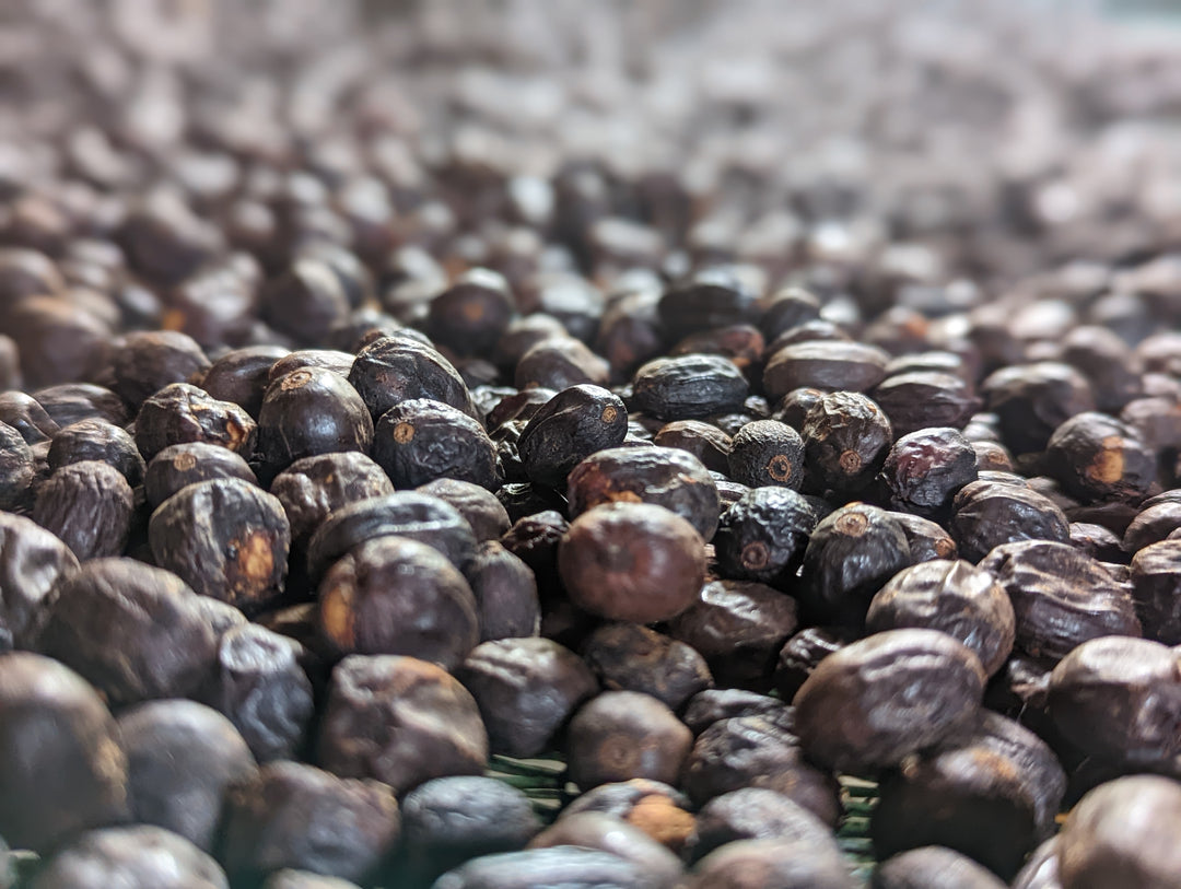 Lulo Coffee Roasters